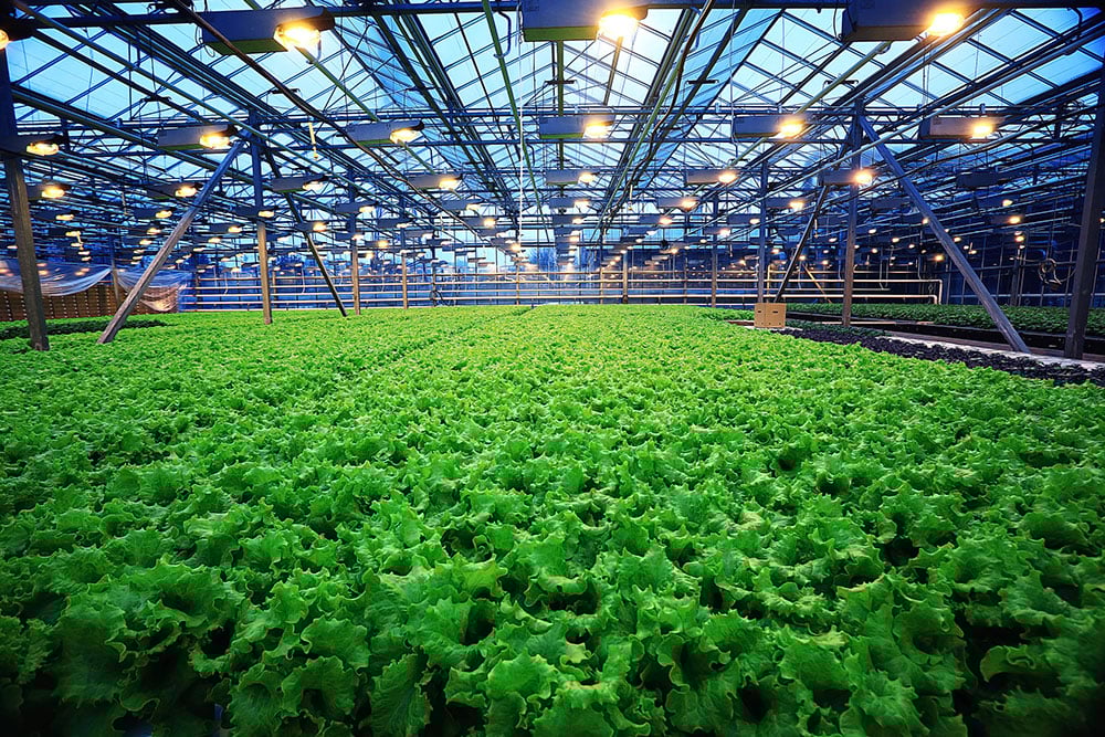 5 Ways To Increase Food Processing Plant Efficiency