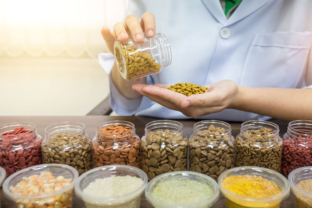 Essential Pet Food Production Equipment