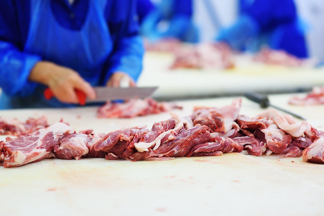 8 Essential Meat Processing Plant Devices And Equipment