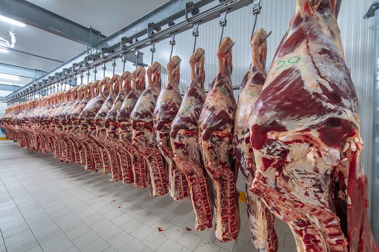 The Guide To Designing A Meat Processing Plant