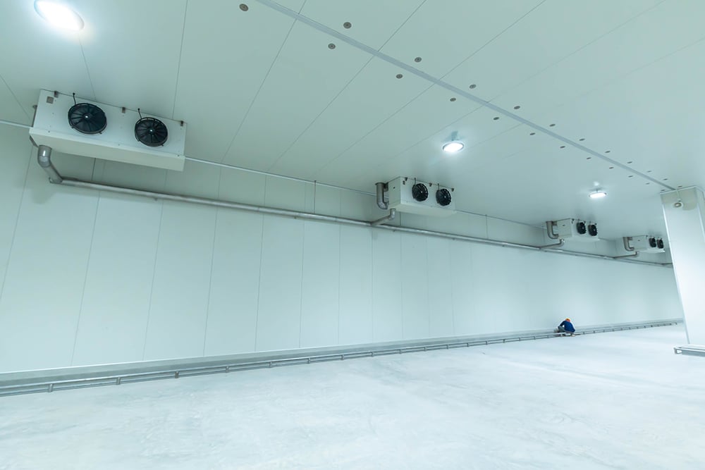 From Sea to Table: Designing an Efficient Fish Processing Plant