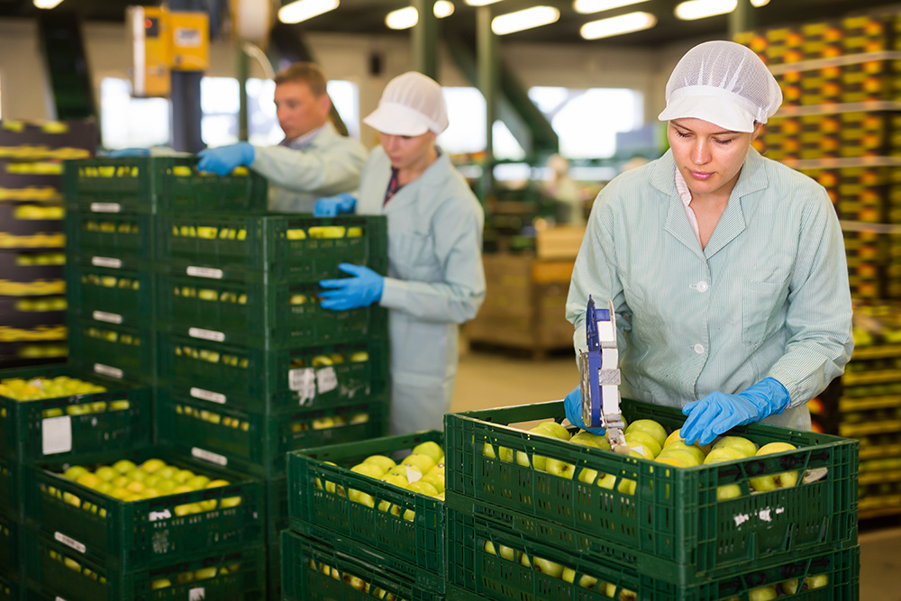 11 Adequate and Proper Food Safety Practices to Know