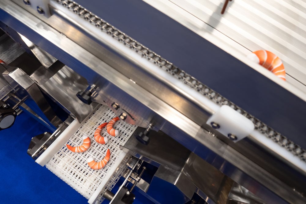 Streamlined Seafood: Enhancing Productivity in Shellfish Processing Plants