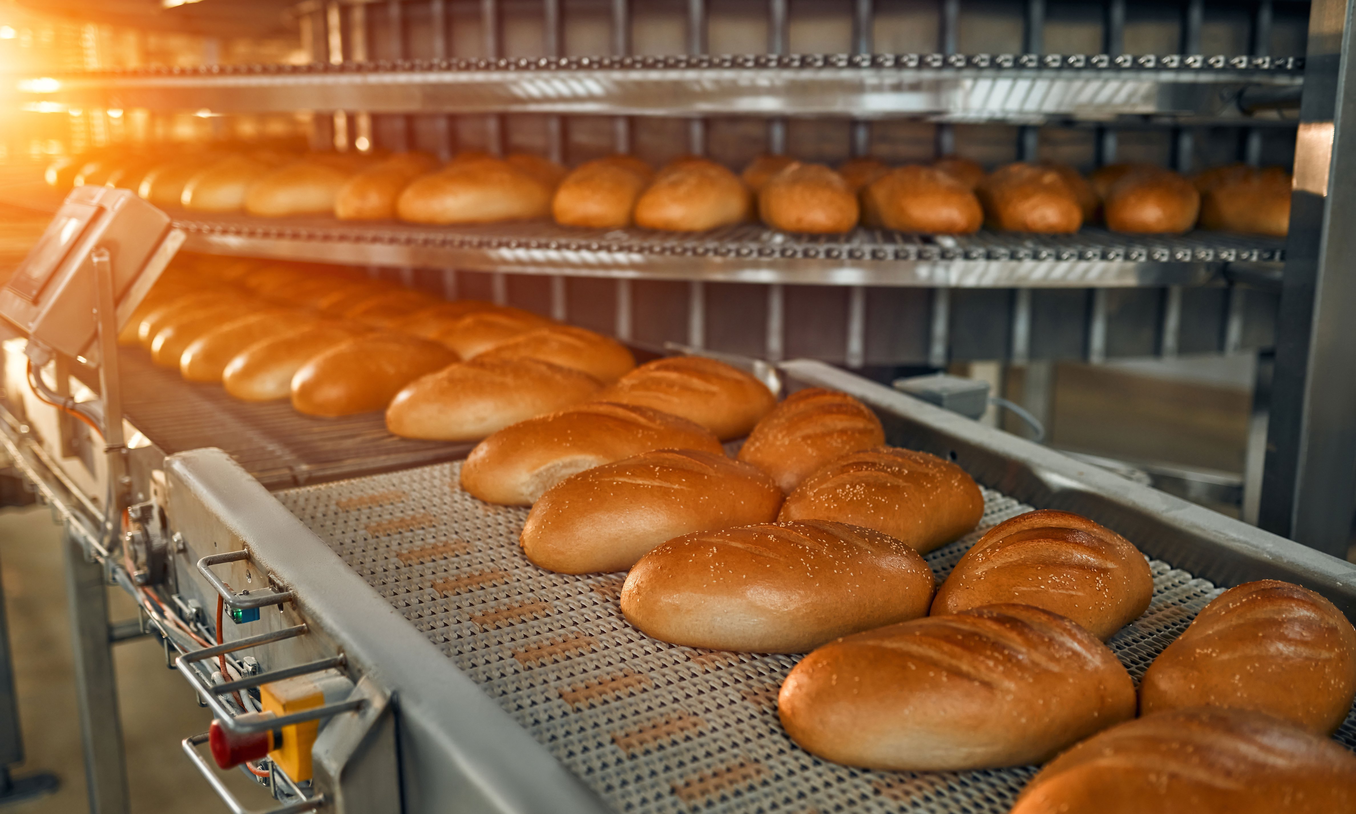 The Recipe for Success: Bakery Sanitation Best Practices and Standards