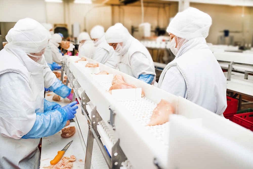From Farm to Fork: The Art of Poultry Processing Plant Layout