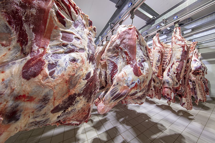 The Best Drain Options For Cold Storage Facilities