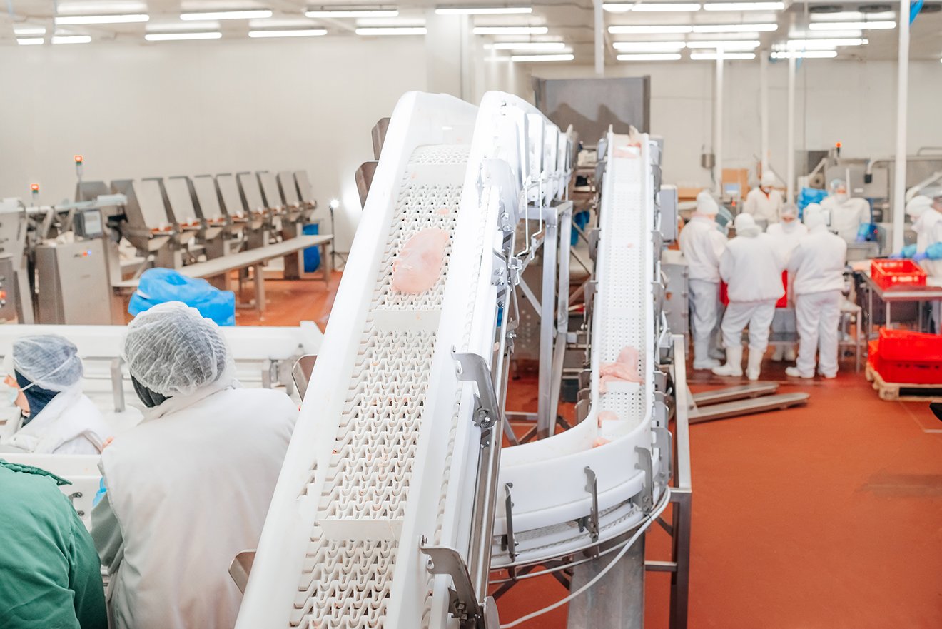 The Guide To Designing A Meat Processing Plant