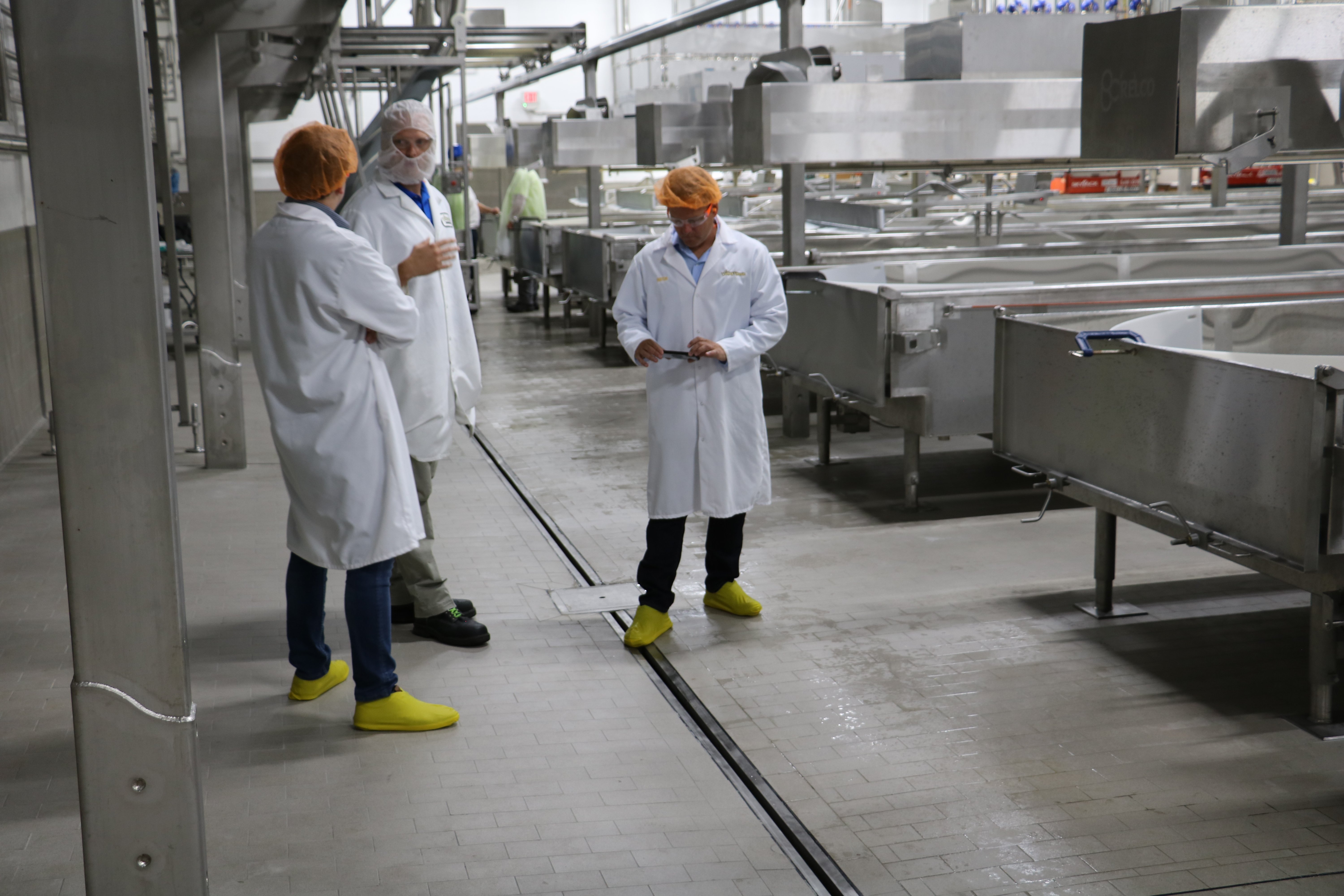 How To Disinfect Drains: Step-By-Step Guide