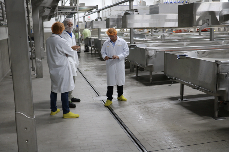 Designing A Facility Around Your Poultry Processing Drainage System