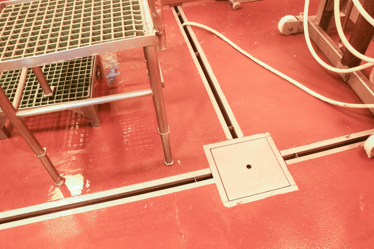 Designing A Facility Around Your Poultry Processing Drainage System