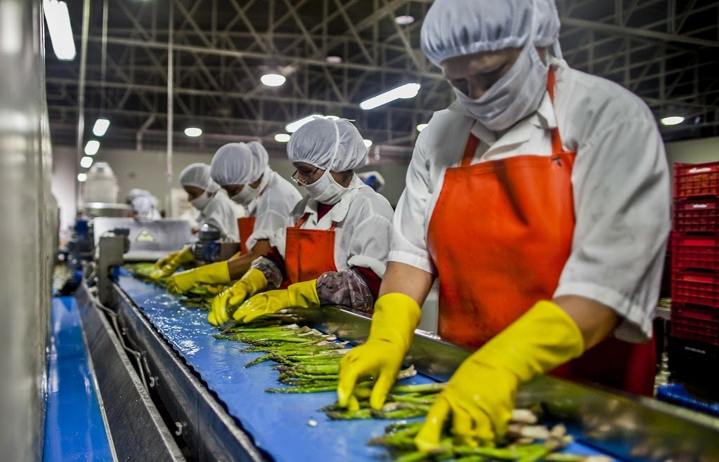 7 Best Practices Fruit And Vegetable Processing Plant Sanitation